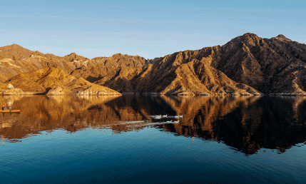 Arabia’s Wildlife Centre - Sanctuary for Rare Desert Species